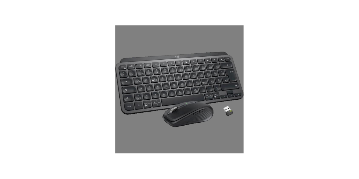 Keyboard Logitech MX Keys Mini Combo, Graphite | Confort și Fiabilitate ...